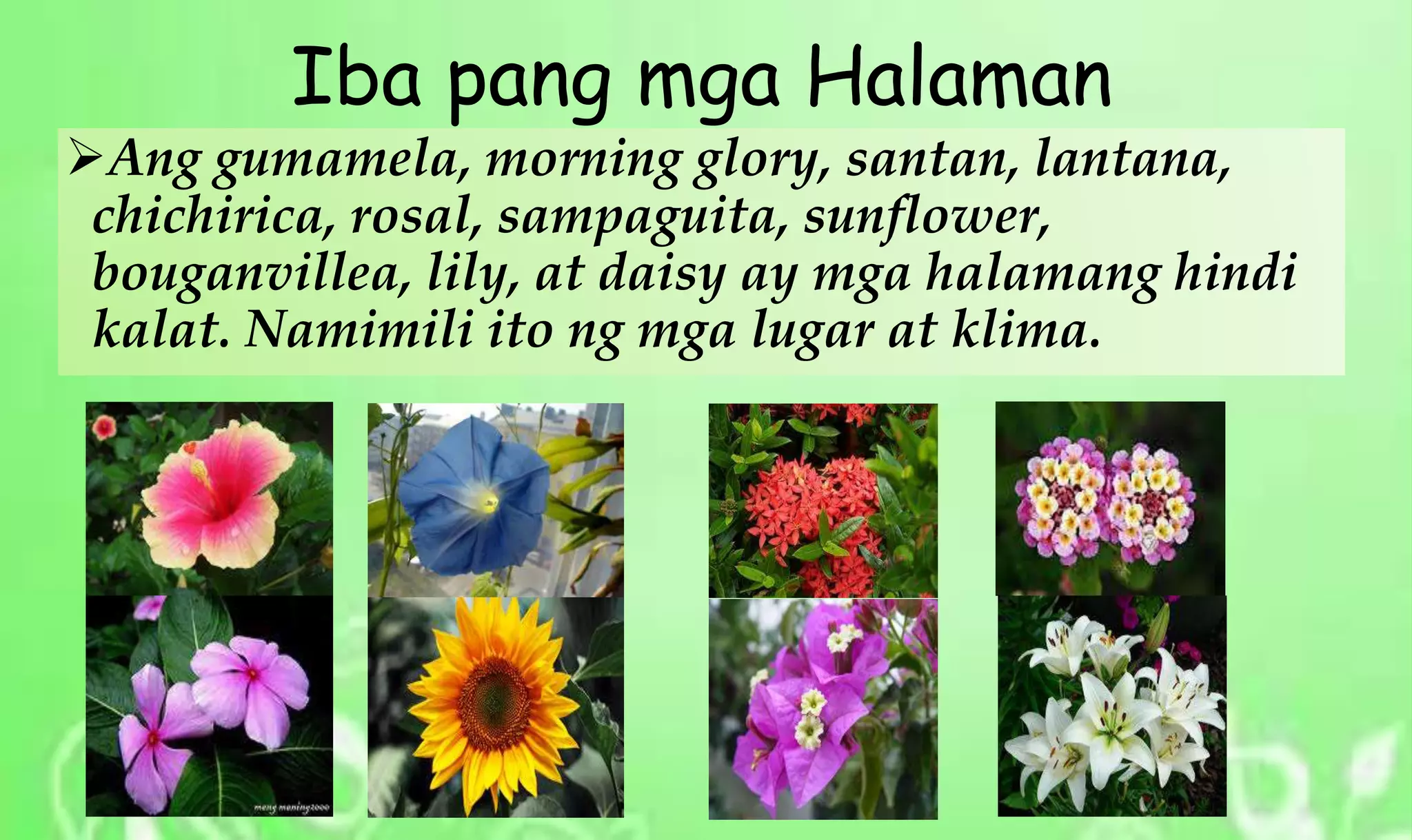 Ap aralin 8 ang kinalaman ng klima sa mga uri ng pananim at hayop sa ...