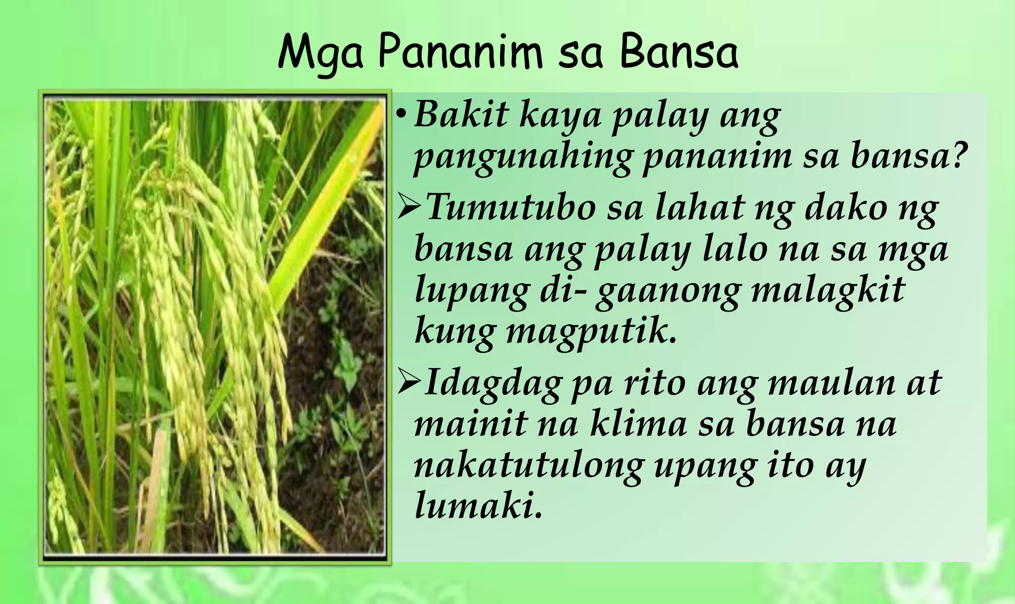 Ap aralin 8 ang kinalaman ng klima sa mga uri ng pananim at hayop sa pilipinas | PPTX