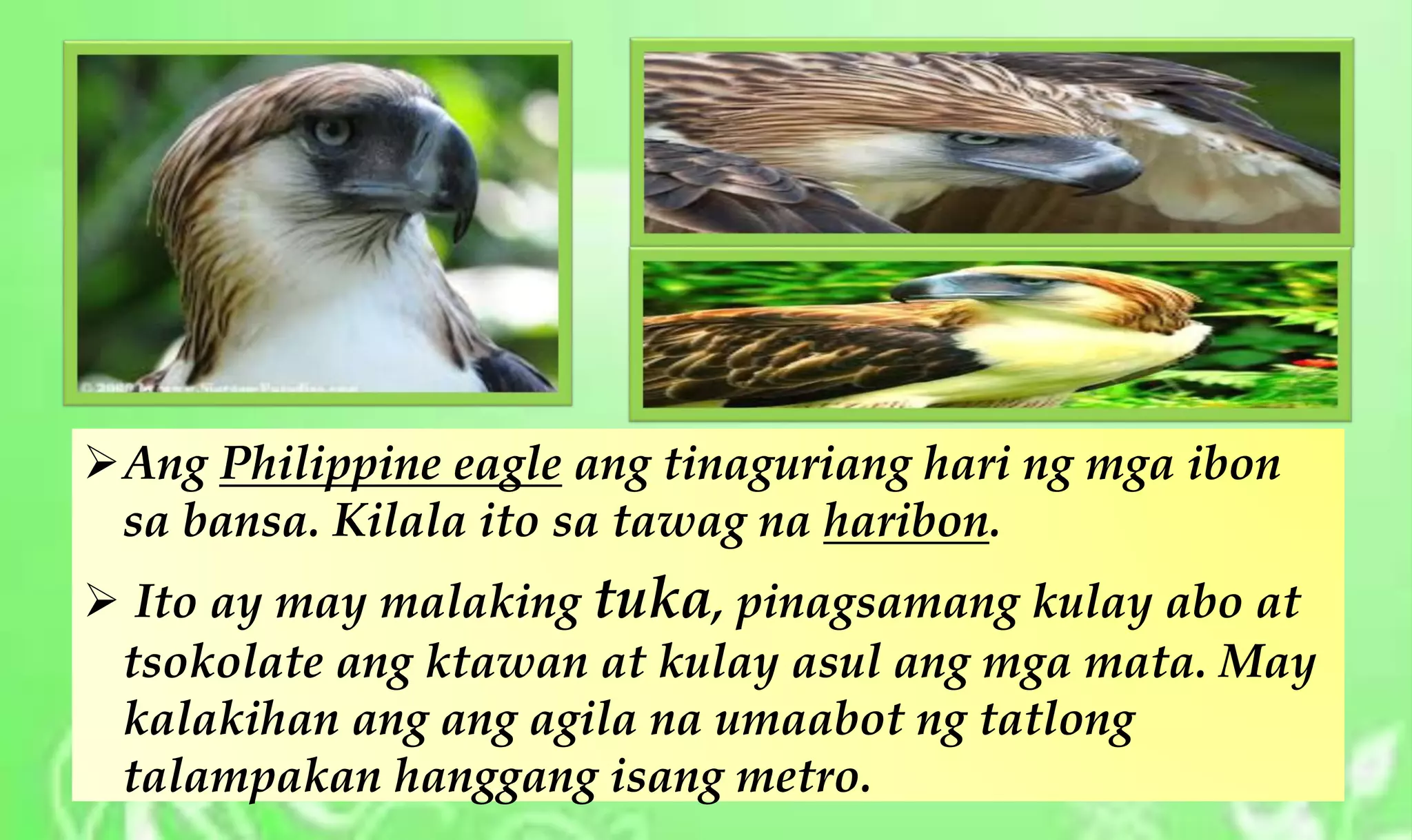 Ap aralin 8 ang kinalaman ng klima sa mga uri ng pananim at hayop sa pilipinas | PPTX