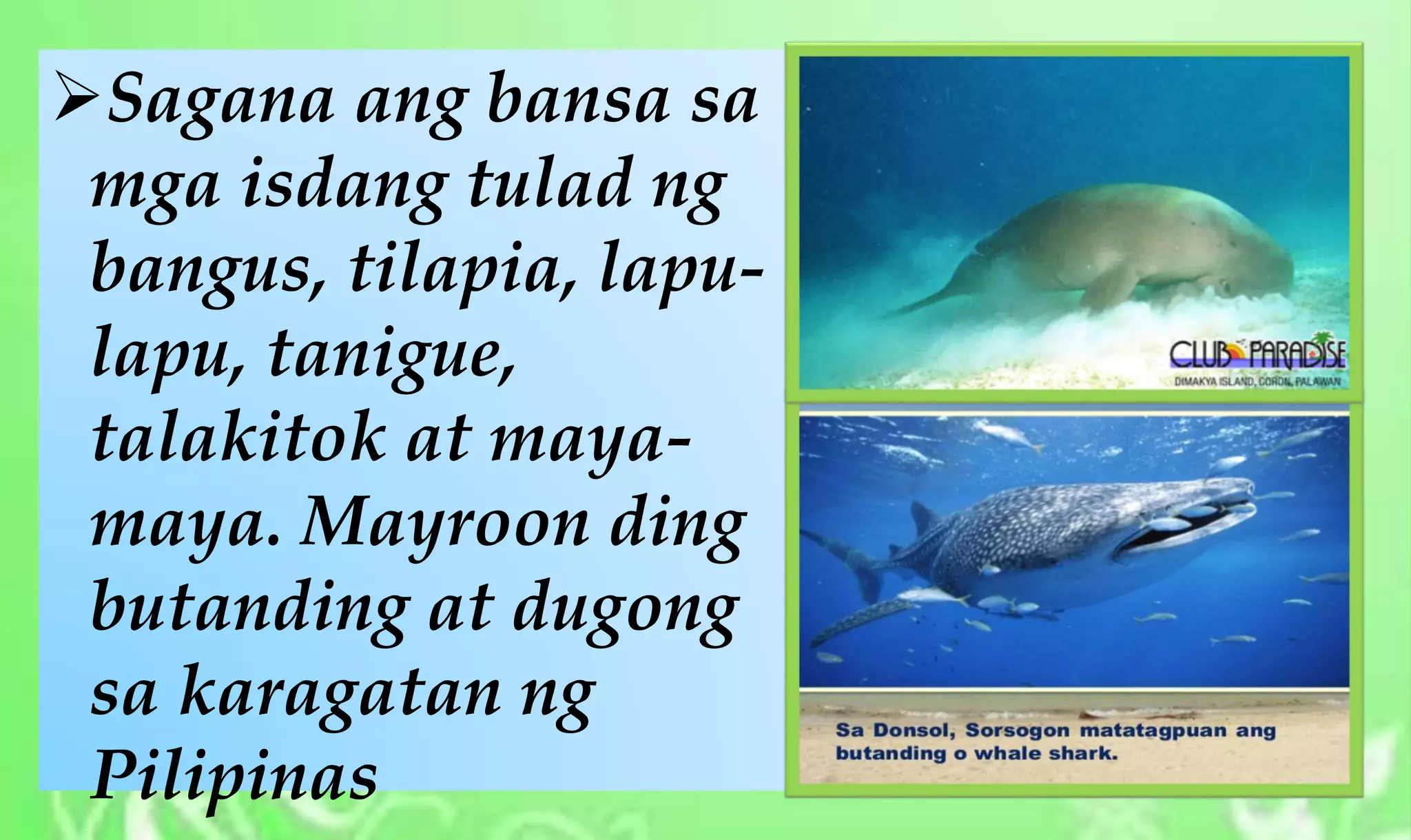 Ap aralin 8 ang kinalaman ng klima sa mga uri ng pananim at hayop sa ...