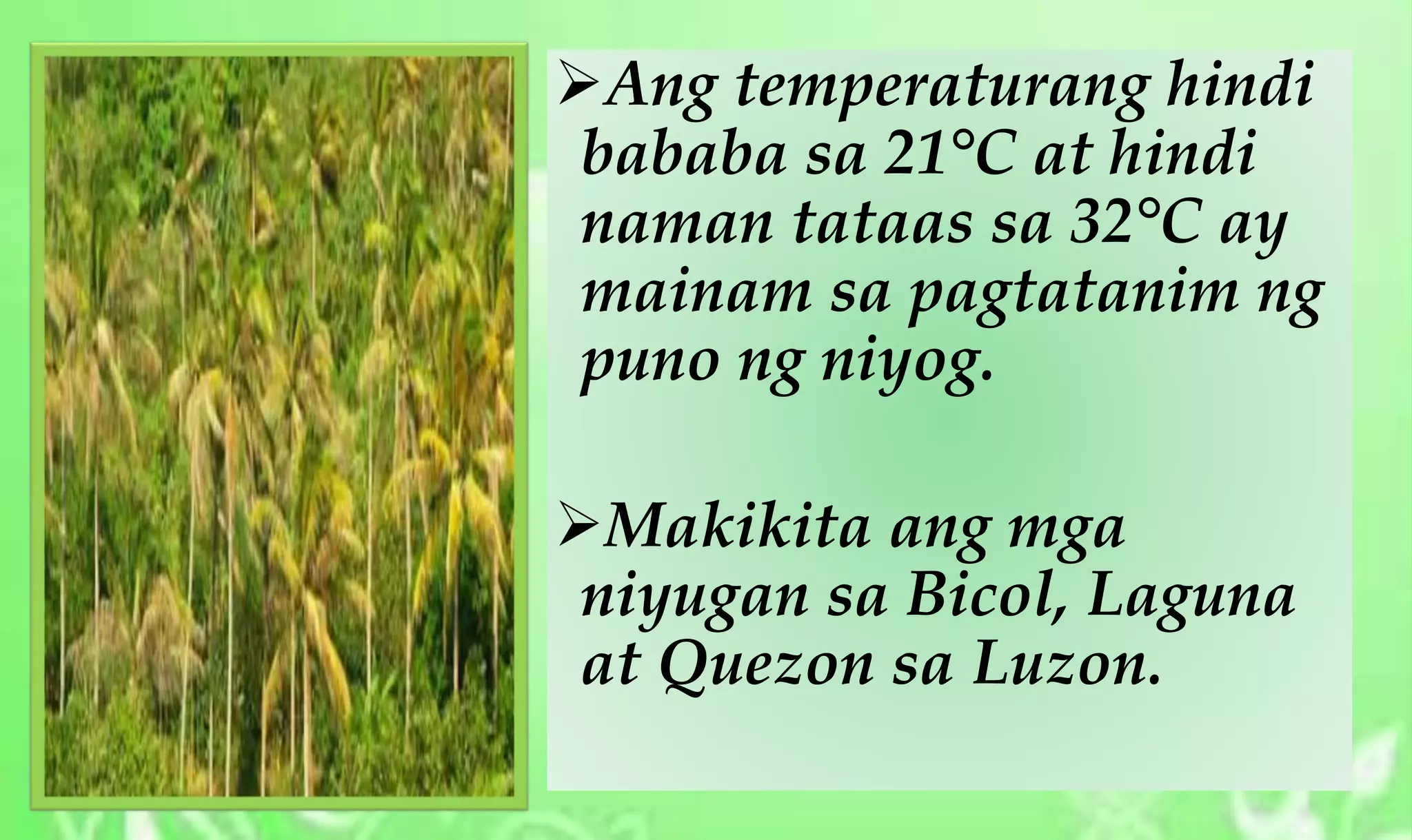 Ap aralin 8 ang kinalaman ng klima sa mga uri ng pananim at hayop sa ...