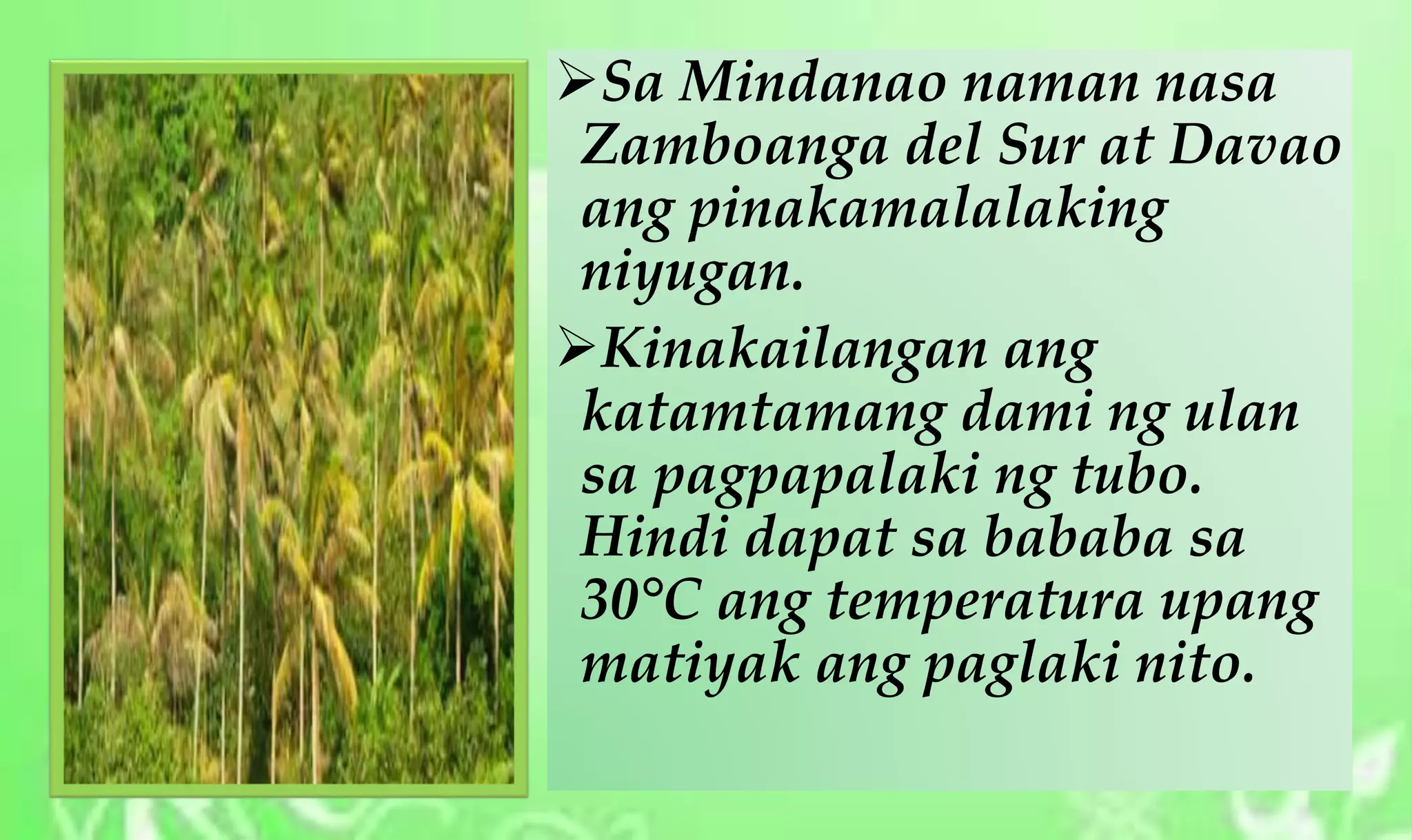 Ap aralin 8 ang kinalaman ng klima sa mga uri ng pananim at hayop sa ...