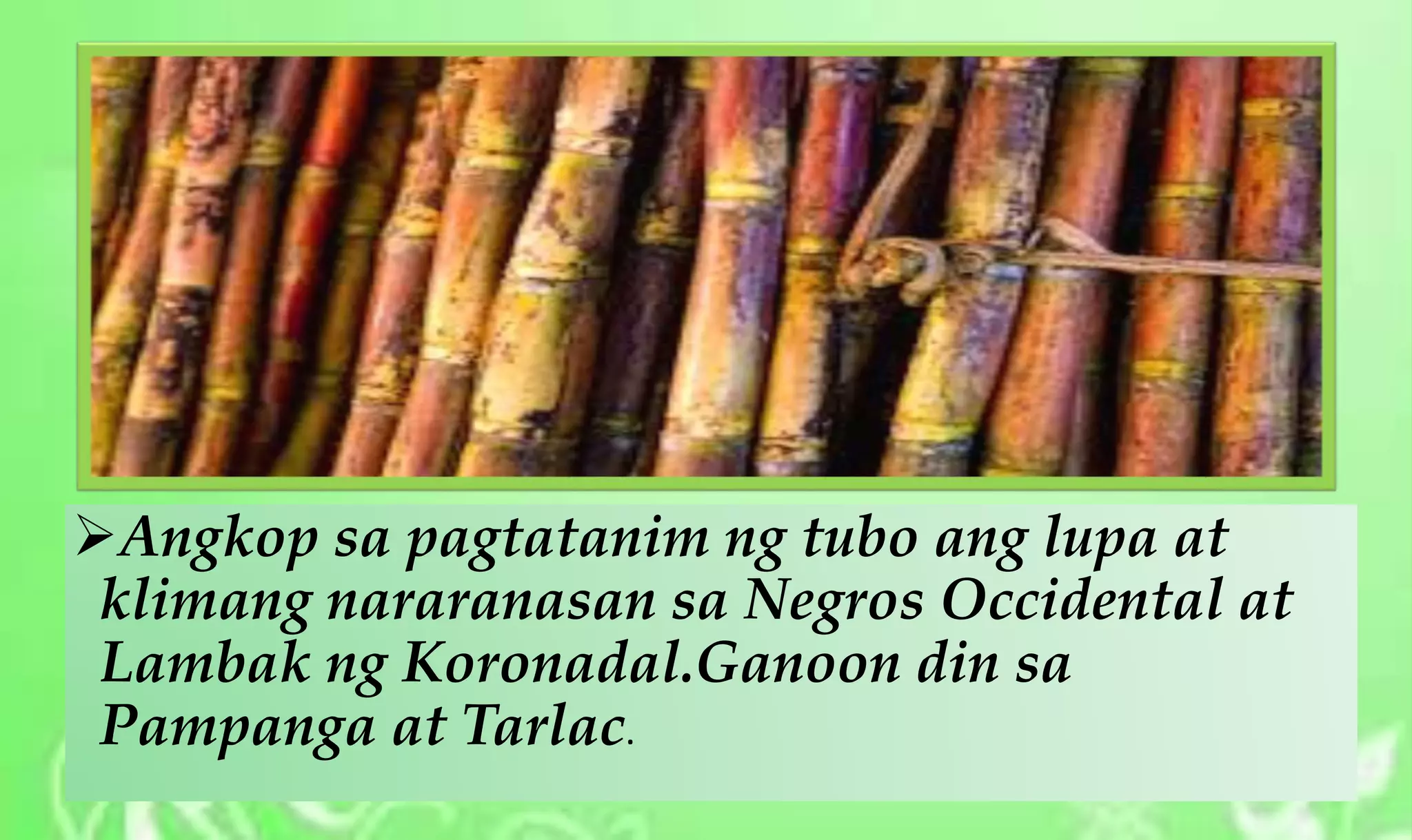 Ap aralin 8 ang kinalaman ng klima sa mga uri ng pananim at hayop sa ...