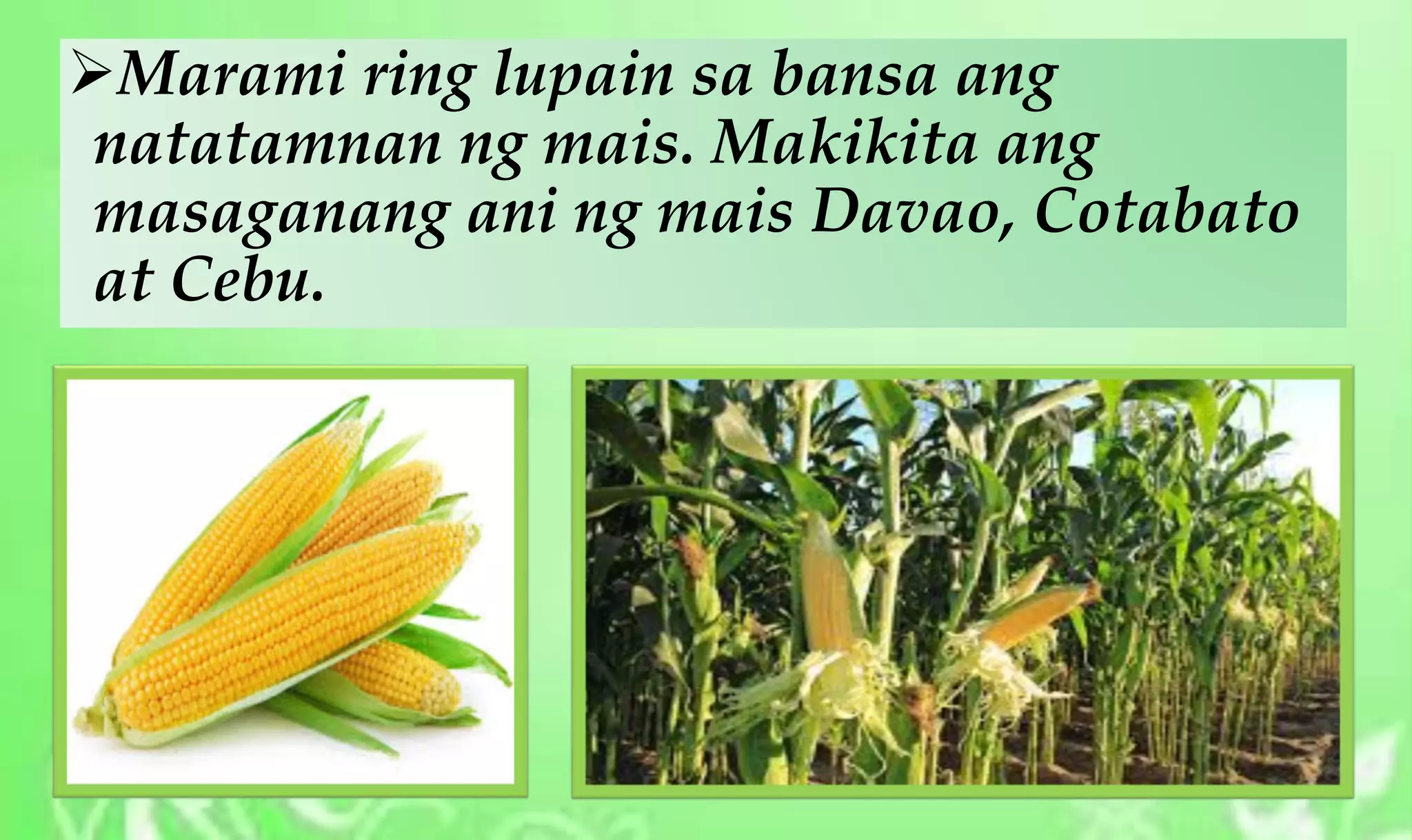 Ap aralin 8 ang kinalaman ng klima sa mga uri ng pananim at hayop sa pilipinas | PPTX