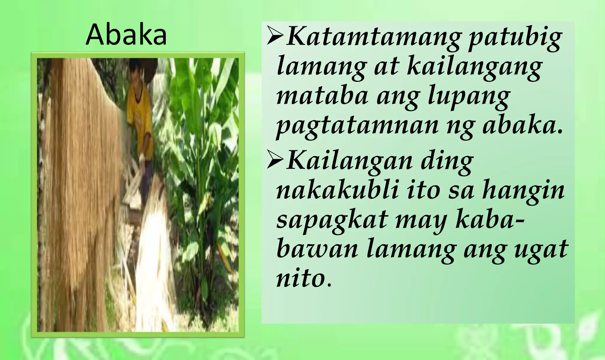 Ap aralin 8 ang kinalaman ng klima sa mga uri ng pananim at hayop sa pilipinas | PPTX