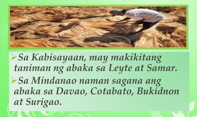 Ap aralin 8 ang kinalaman ng klima sa mga uri ng pananim at hayop sa pilipinas | PPTX