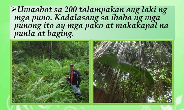 Ap aralin 8 ang kinalaman ng klima sa mga uri ng pananim at hayop sa pilipinas | PPTX