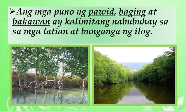 Ap aralin 8 ang kinalaman ng klima sa mga uri ng pananim at hayop sa pilipinas | PPTX