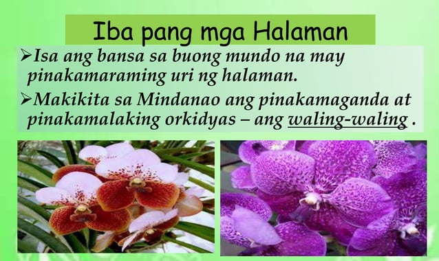 Ap aralin 8 ang kinalaman ng klima sa mga uri ng pananim at hayop sa pilipinas | PPTX