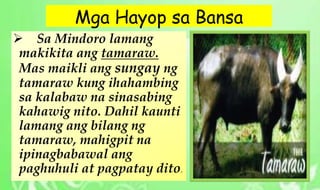 Ap aralin 8 ang kinalaman ng klima sa mga uri ng pananim at hayop sa ...