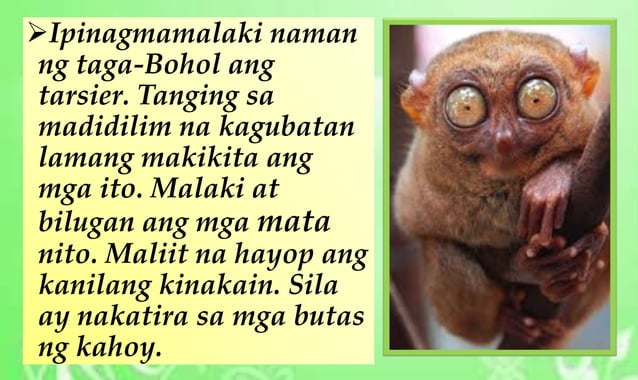 Ap aralin 8 ang kinalaman ng klima sa mga uri ng pananim at hayop sa pilipinas | PPTX