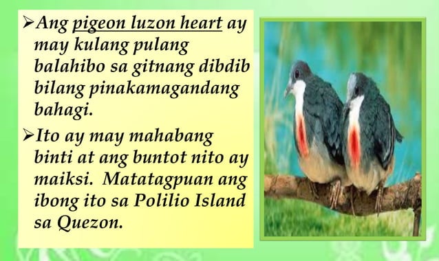 Ap aralin 8 ang kinalaman ng klima sa mga uri ng pananim at hayop sa pilipinas | PPTX