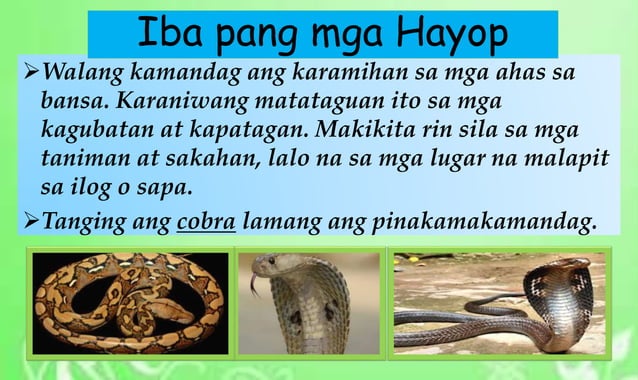 Ap aralin 8 ang kinalaman ng klima sa mga uri ng pananim at hayop sa pilipinas | PPTX