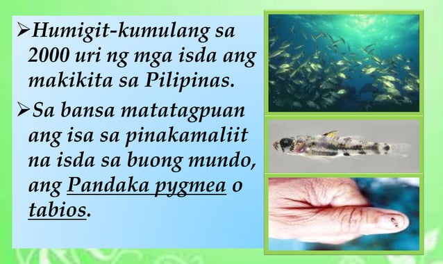Ap aralin 8 ang kinalaman ng klima sa mga uri ng pananim at hayop sa pilipinas | PPTX