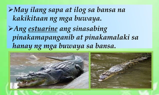 Ap aralin 8 ang kinalaman ng klima sa mga uri ng pananim at hayop sa pilipinas | PPTX