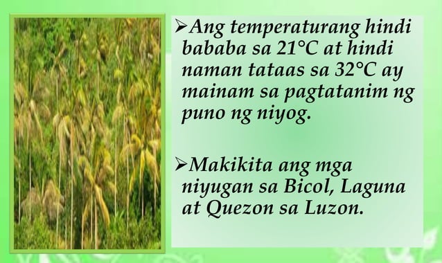 Ap aralin 8 ang kinalaman ng klima sa mga uri ng pananim at hayop sa pilipinas | PPTX