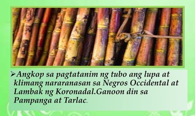 Ap aralin 8 ang kinalaman ng klima sa mga uri ng pananim at hayop sa pilipinas | PPTX