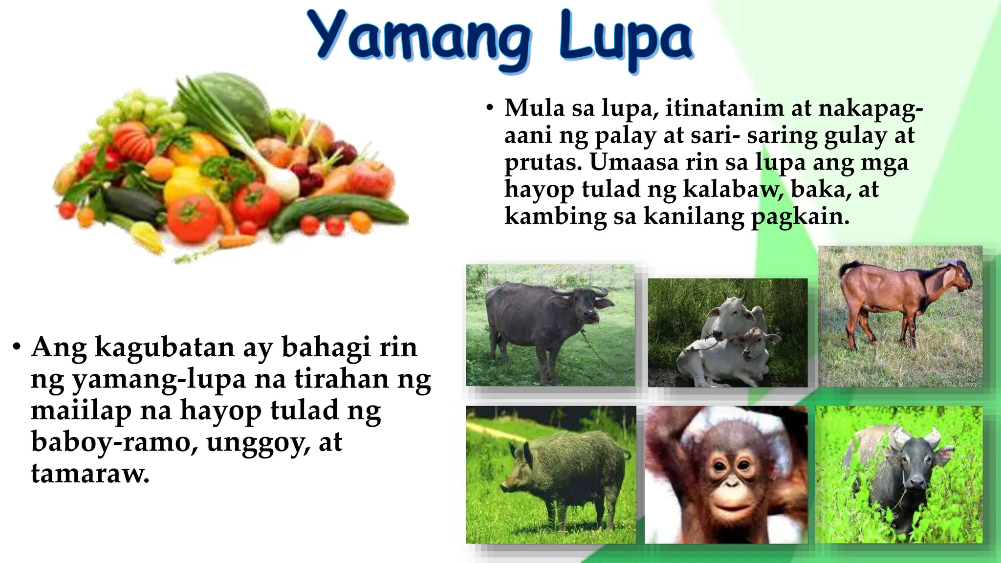 AP Aralin 9 Mga Pangunahing Likas na Yaman ng Bansa CO1.pptx