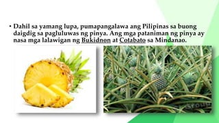 AP Aralin 9 Mga Pangunahing Likas na Yaman ng Bansa CO1.pptx