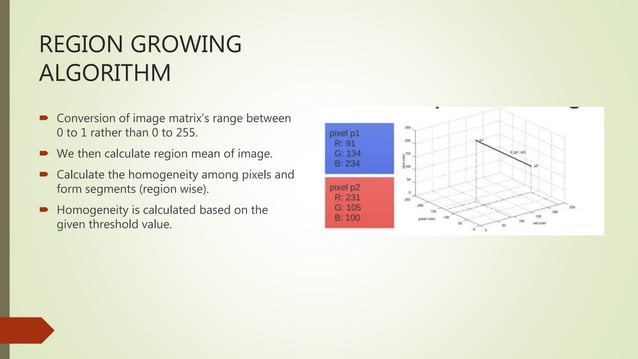 A New Approach for Parallel Region Growing Algorithm in Image ...