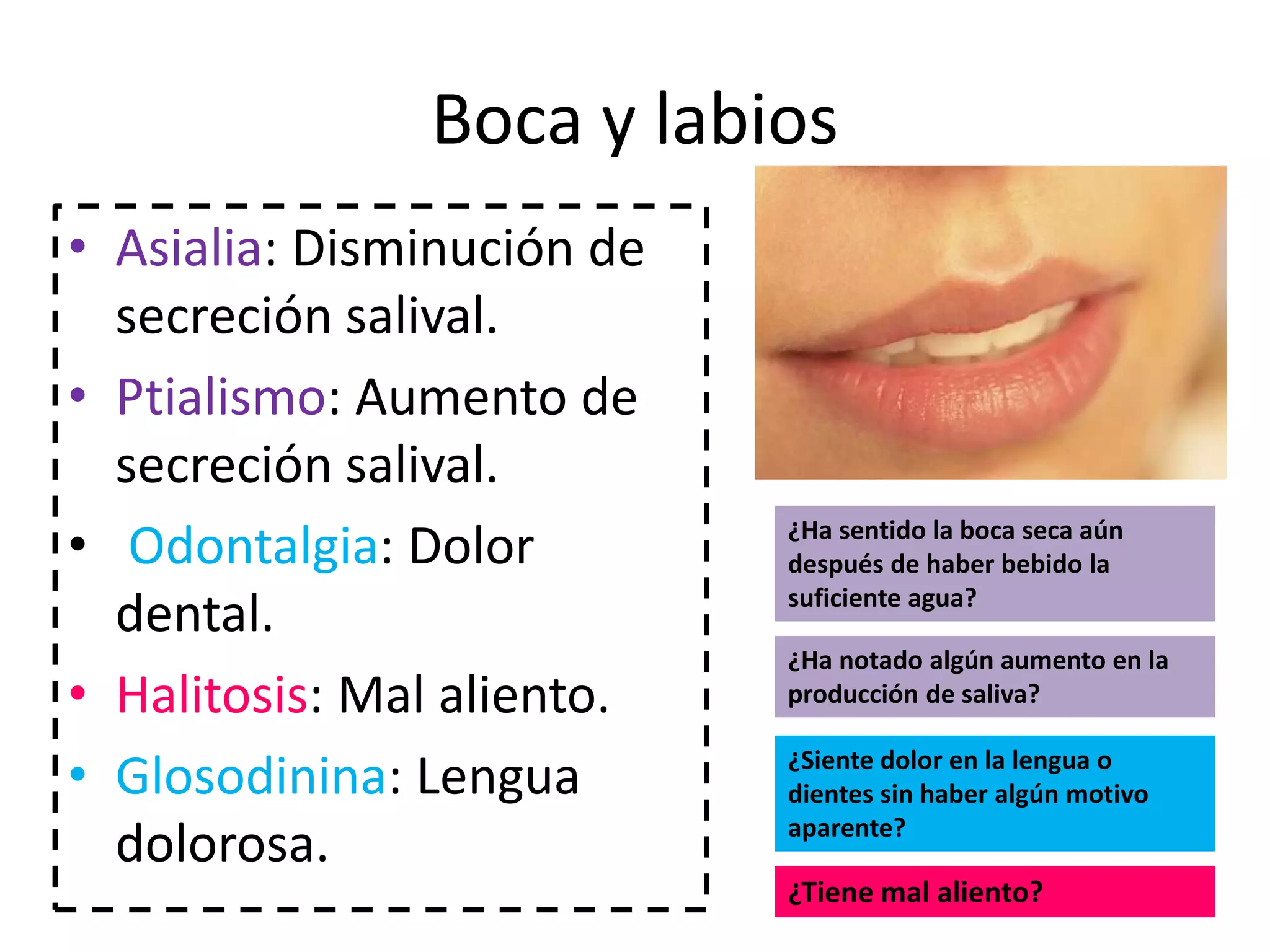 Anamnesis Aparato digestivo y Aparato Locomotor | PPTX