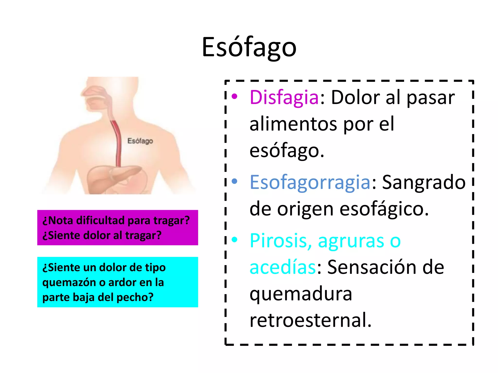 Anamnesis Aparato digestivo y Aparato Locomotor | PPTX