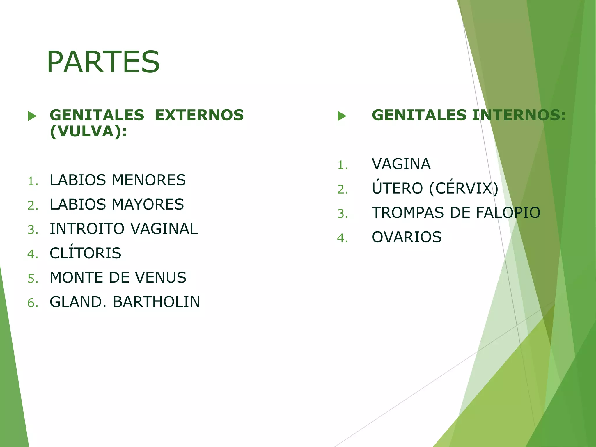 Aparato reproductor femenino | PPTX