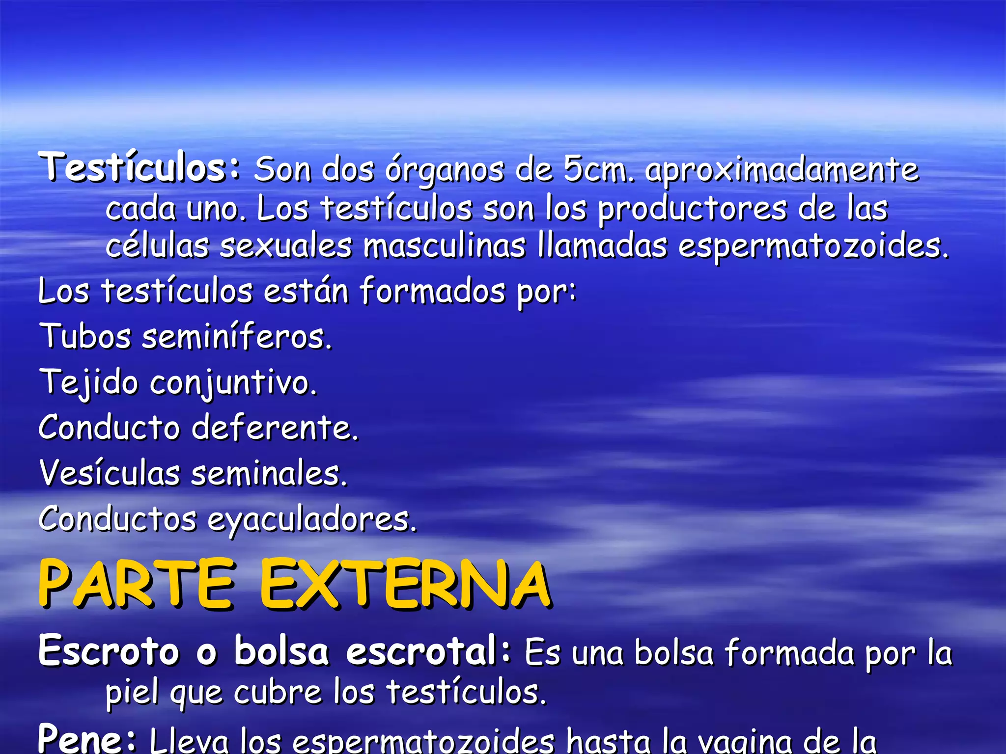 EL APARATO REPRODUCTOR MASCULINO | PPT