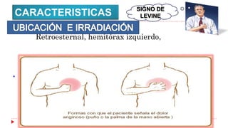 Dolor Toracico Semiologia | PPTX