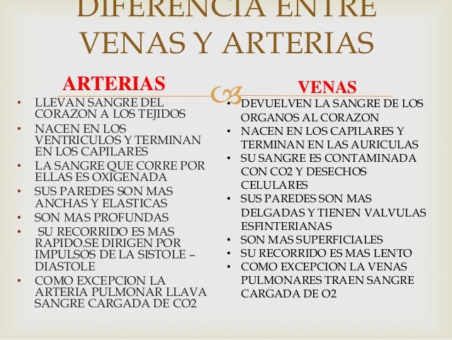 Diferencias Entre Venas Arterias Y Capilares | Images and Photos finder Diferencias Entre Venas Arterias Y Capilares | Images and Photos finder