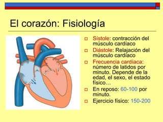 Aparato cardiovascular | PPT