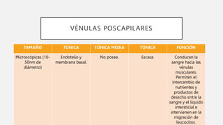 APARATO CARDIOVASCULAR.pptx