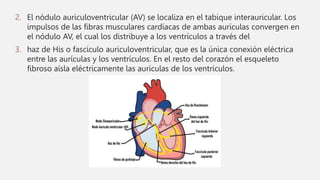 Aparato cardiovascular, anatomía y fisiolagia.pptx