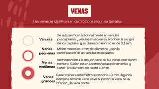 APARATO CARDIOVASCULAR : EL CORAZÓN VENAS, ARTERIAS .pdf