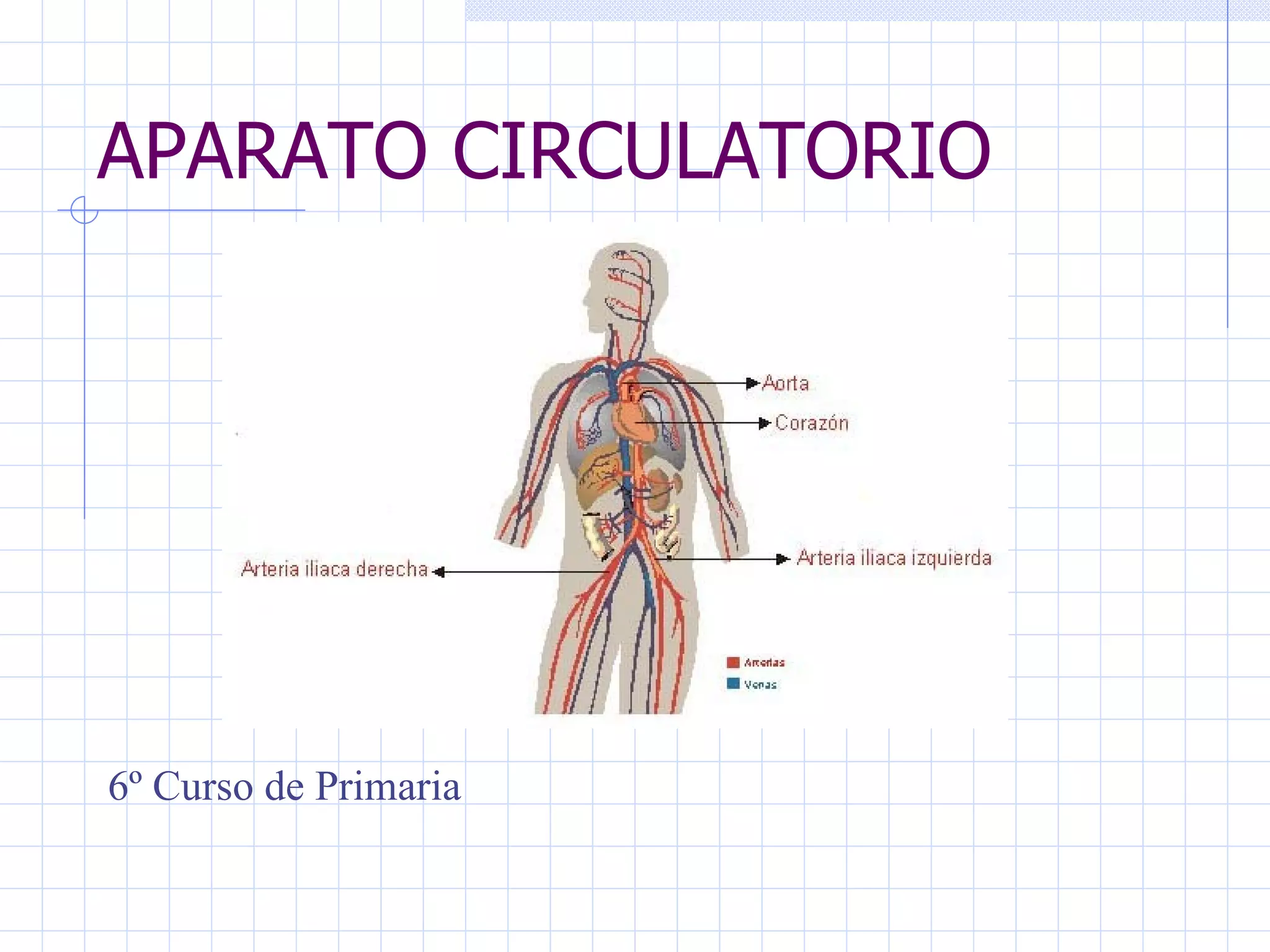 Aparato circulatorio | PPT
