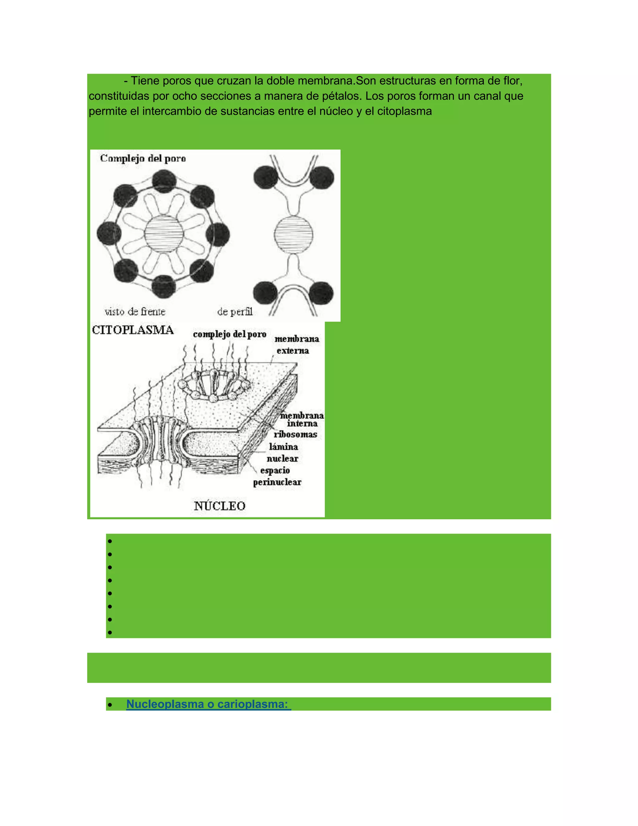 Aparato de golgi | DOCX