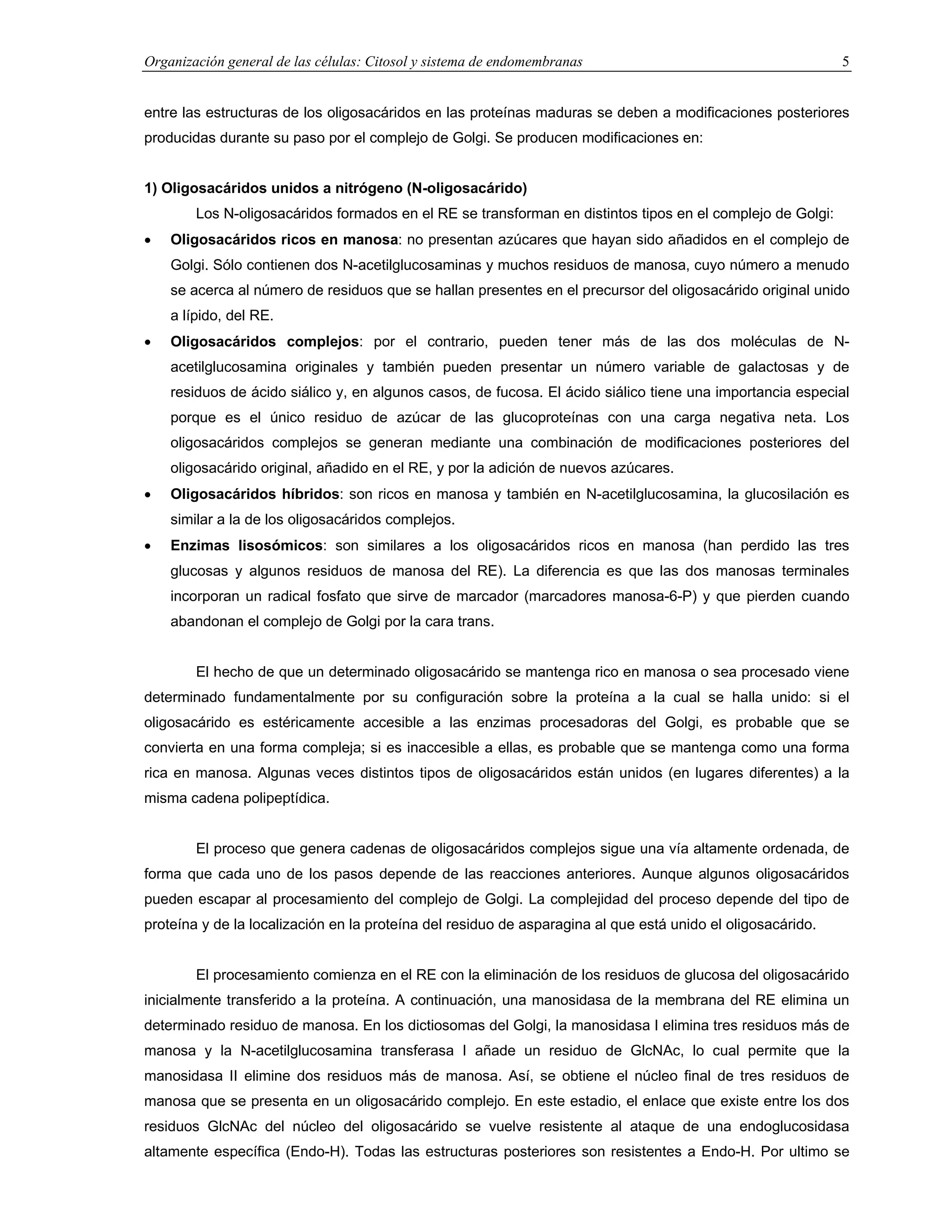 Aparato de Golgi | PDF