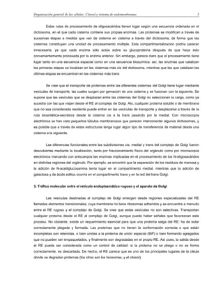 Aparato de Golgi | PDF