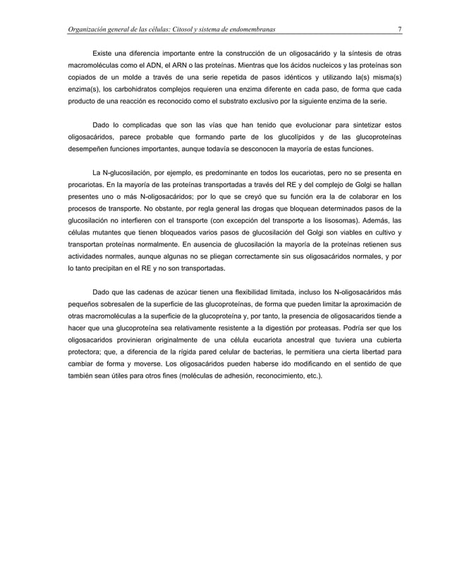 Aparato de Golgi | PDF