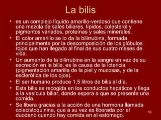Aparato digestivo | PPT