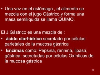 Aparato digestivo | PPT