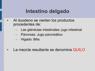 Aparato digestivo | PPT