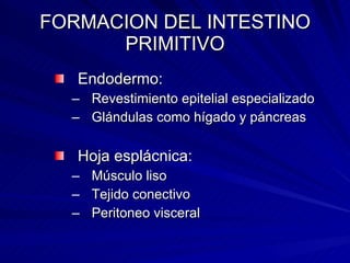 Aparato Digestivo - Embriología ERA 3 | PPT