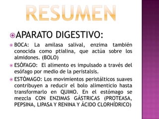 Aparato digestivo | PPTX