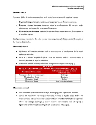 Aparato digestivo (Embriología) | PDF