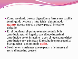 Aparato digestivo 3ESO-B (Aquí no hay quien estudie) | PPTX
