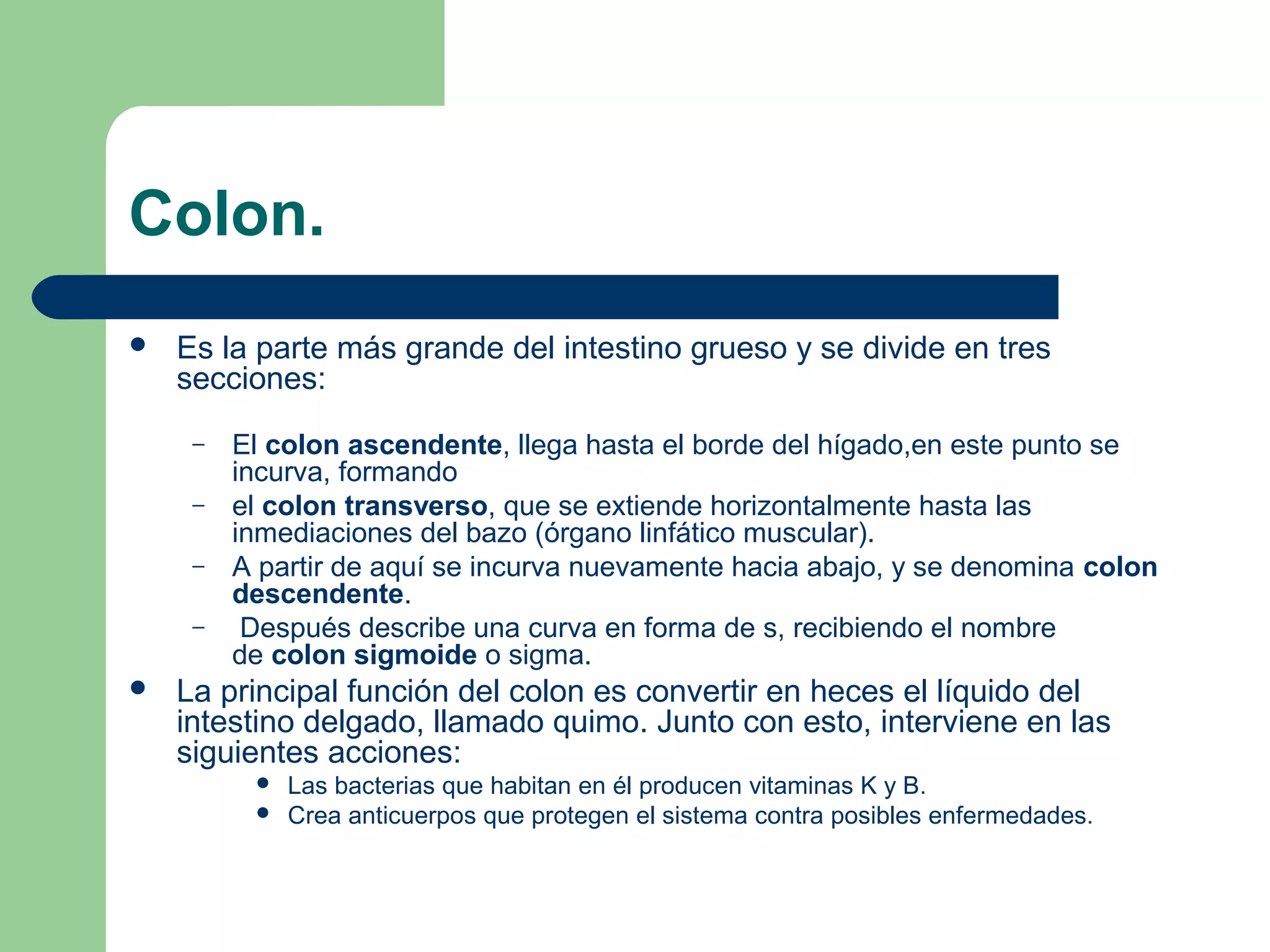Aparato digestivo del cuerpo humano | PPT