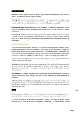 Aparato digestivo en el abdomen resumen | DOC