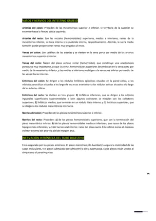 Aparato digestivo en el abdomen resumen | DOC