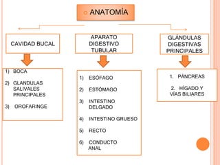 APARATO DIGESTIVO .pptx